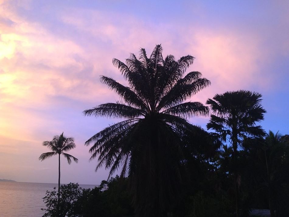 10 Things You Have to See Between Cairns and Cape York – Canstar Blue