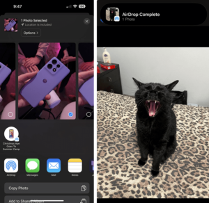 AirDrop: What Is It & How Do You Use It? | Canstar Blue