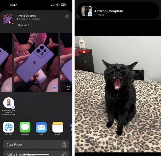AirDrop: What Is It & How Do You Use It? | Canstar Blue