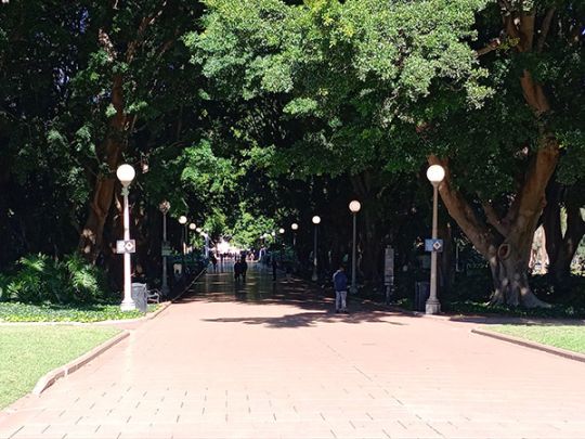 TCL 30+ Review: Premium Entertainment, Affordable Price | Canstar Blue